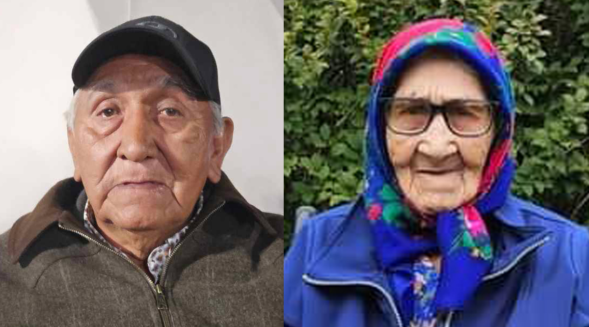 The renaissance of Traditional Hand Games at Powwows and cultural ...