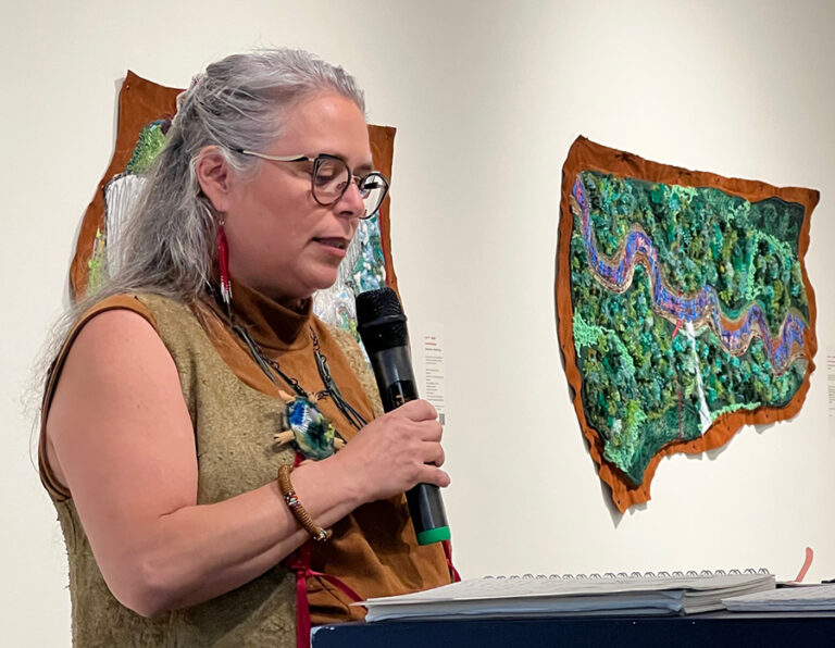 Captivating textile art exhibit depicts devastating changes to ...