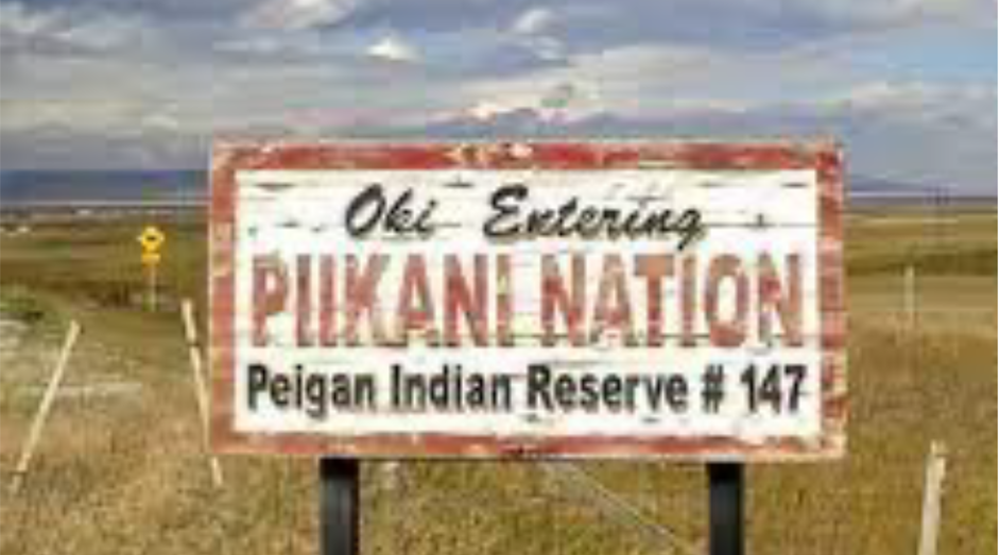 Piikani Nation declares state of emergency over fatal opioid poisonings ... Piikani Nation declares state of emergency over fatal opioid poisonings ...