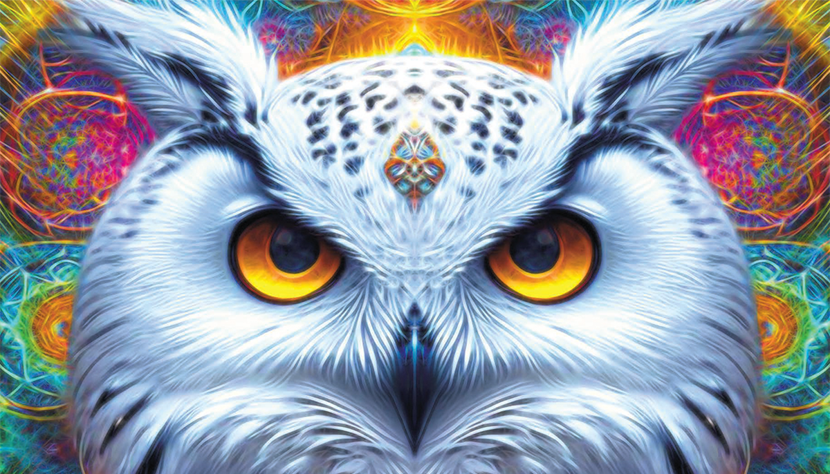 Feature artist for October 2024: Raven Mohan - Alberta Native News