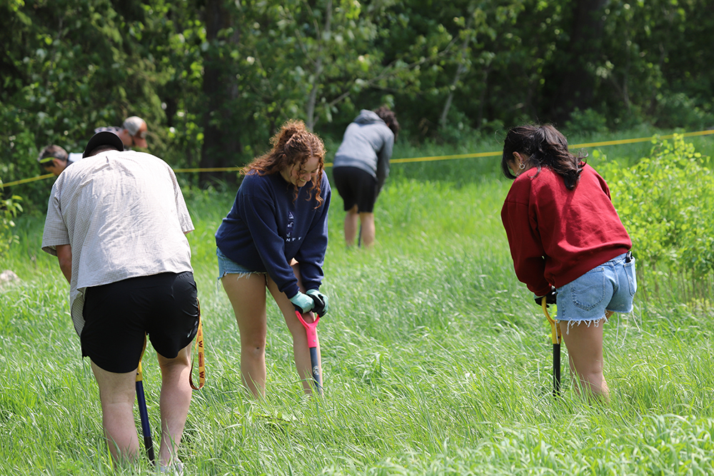 Tree planting frenzy kicks off the summer in Edmonton's Kihcihkaw Askî ...